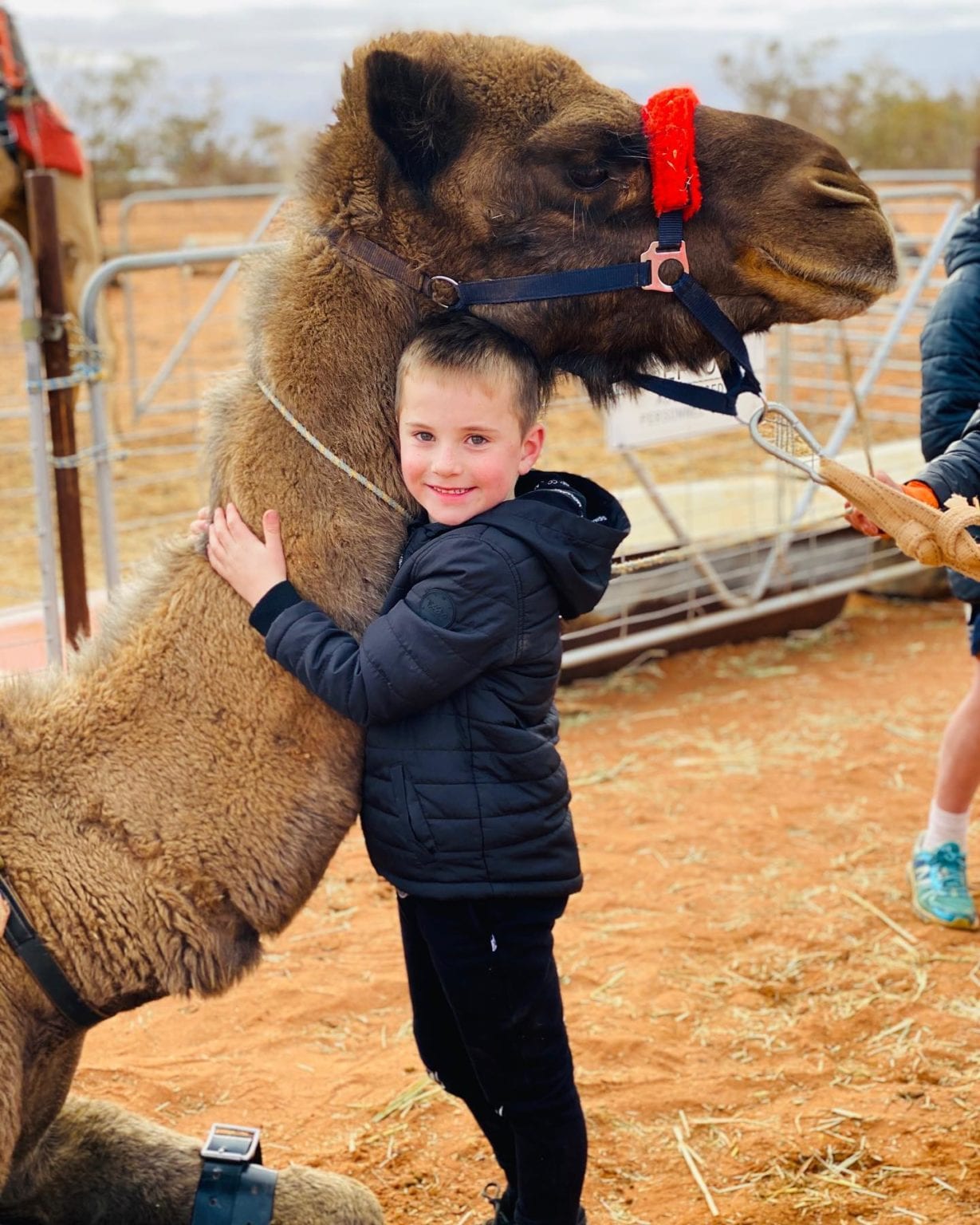 Silverton Farm Stay - Warrigal Cottage or camp under the stars