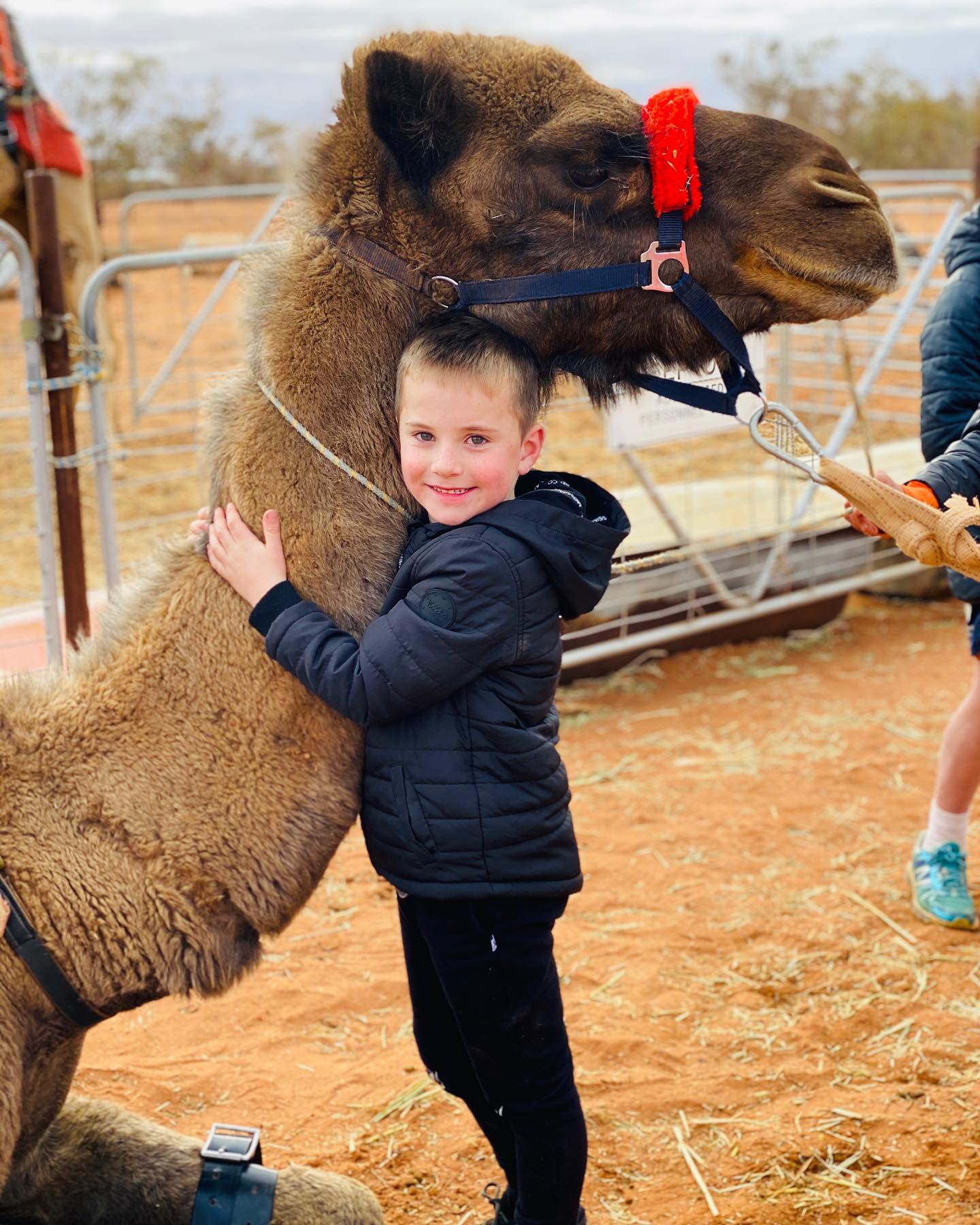 Silverton Outback Camels - Outback Ark and Farm Stay