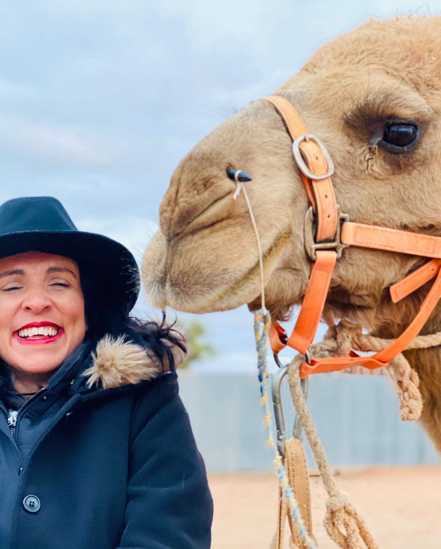 Silverton Outback Camels - Outback Ark and Farm Stay