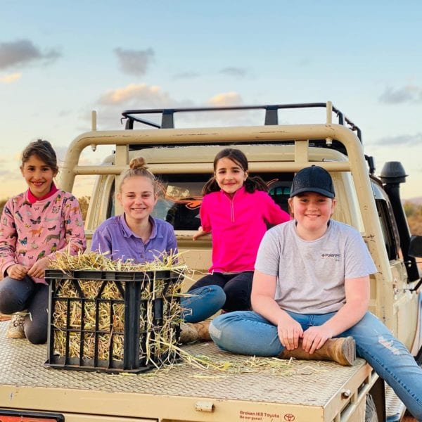 Silverton Farm Visit | Silverton Outback Camels