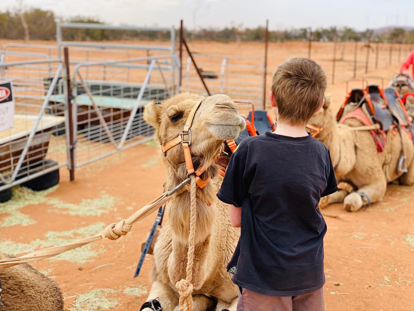 Silverton Farm Stay - Warrigal Cottage or camp under the stars