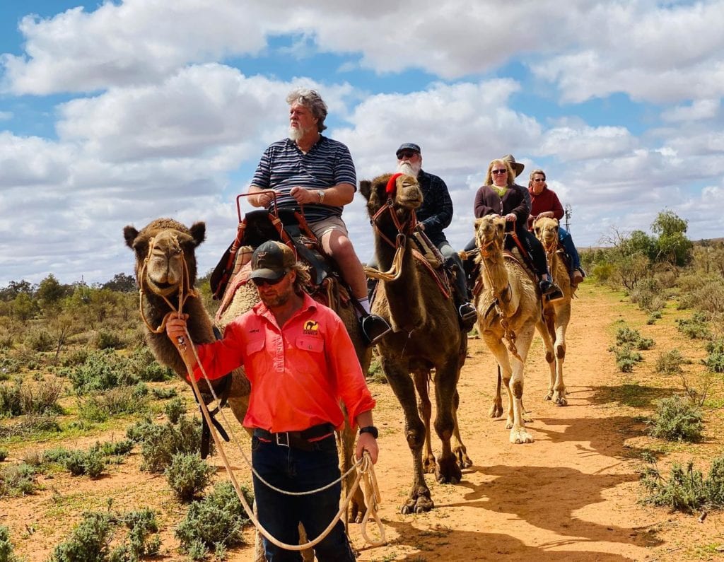 30 Minute Camel Rides | Silverton Outback Camels