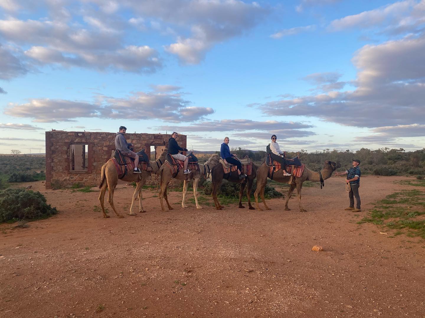 Camel Tours in Silverton | Silverton Outback Camels