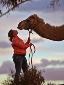 Silverton Outback Camels - Outback Ark and Farm Stay
