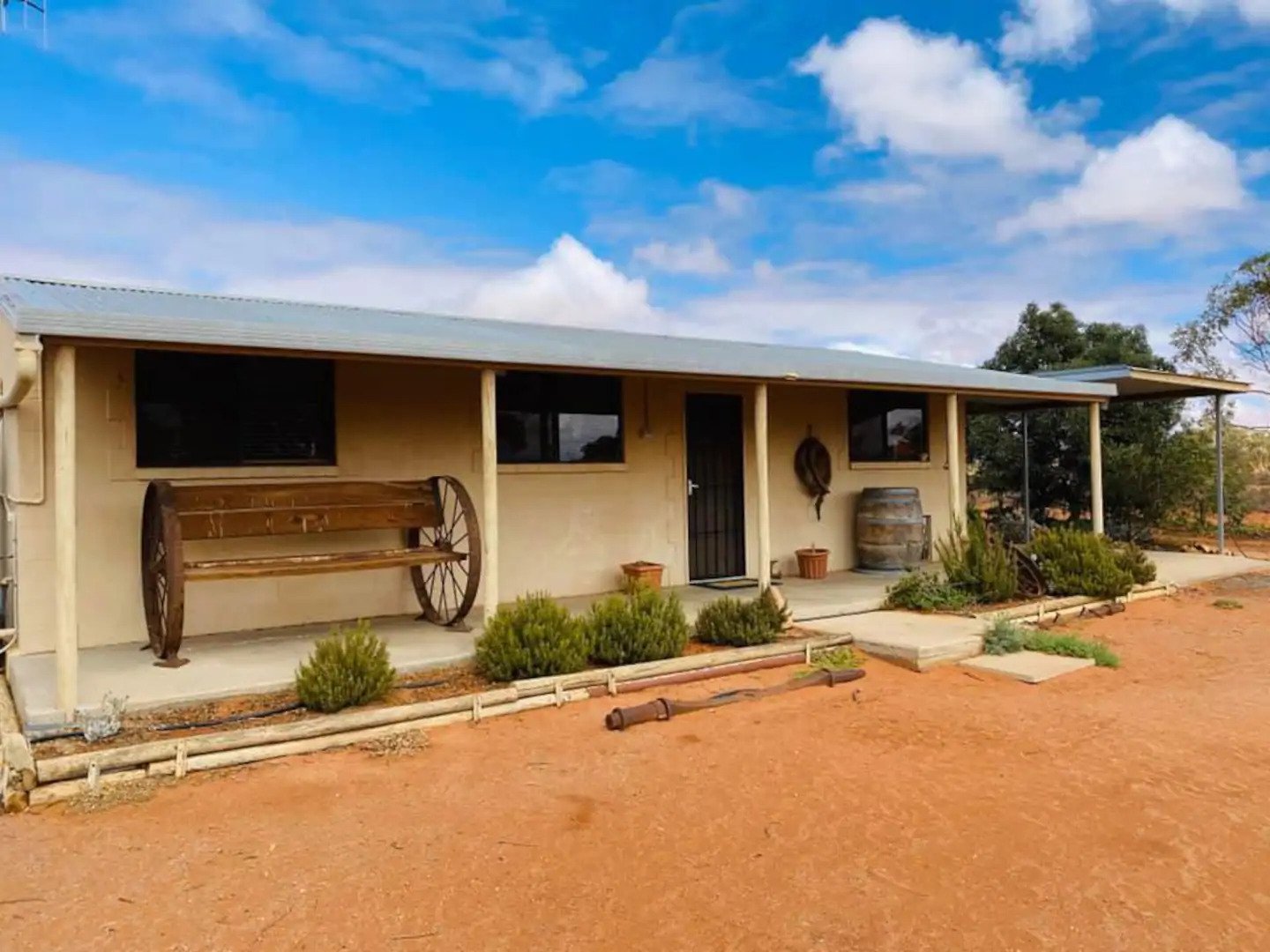 Silverton Outback Camels - Outback Ark and Farm Stay